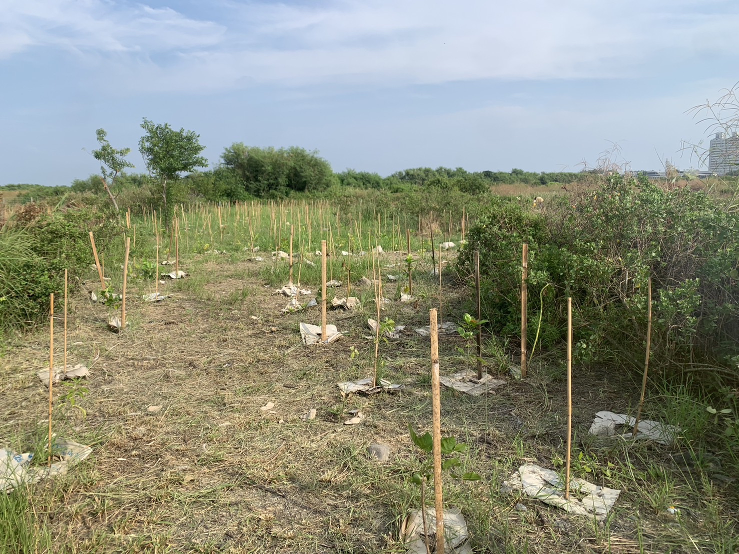 台灣氯乙烯工業股份有限公司